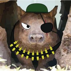 thatcombatwombat